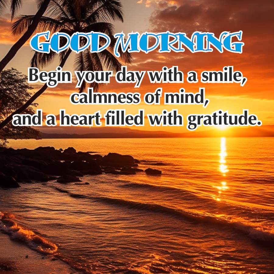 Best Good Morning Messages for WhatsApp Status & Chats